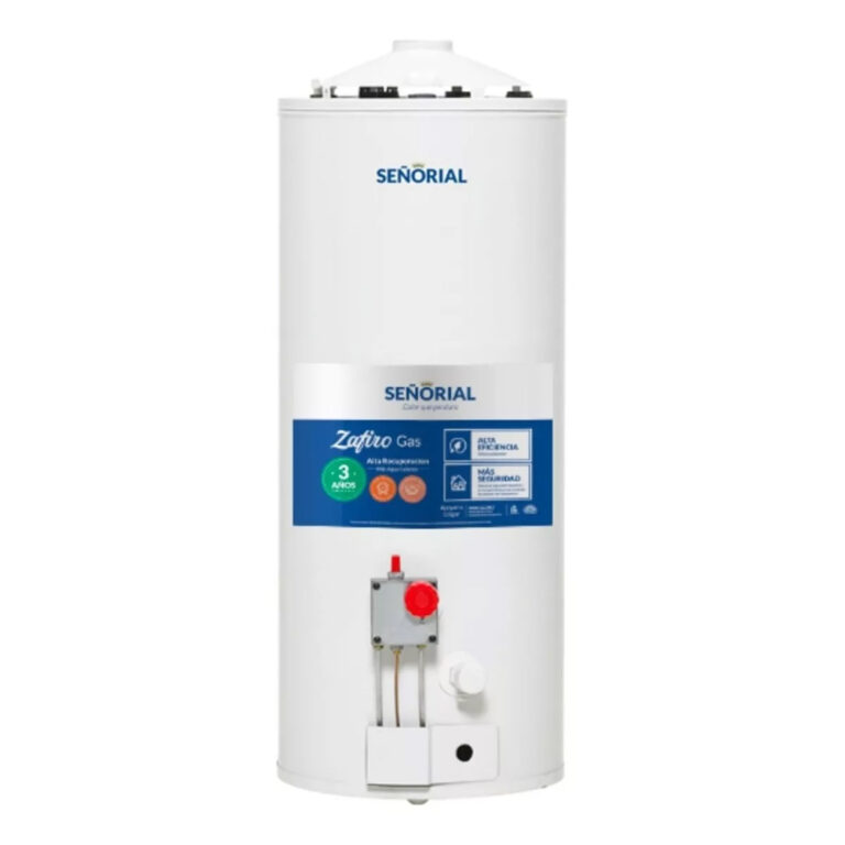 Termotanque Señorial 50lts De Alta Recuperación A Gas - Mandy Hogar